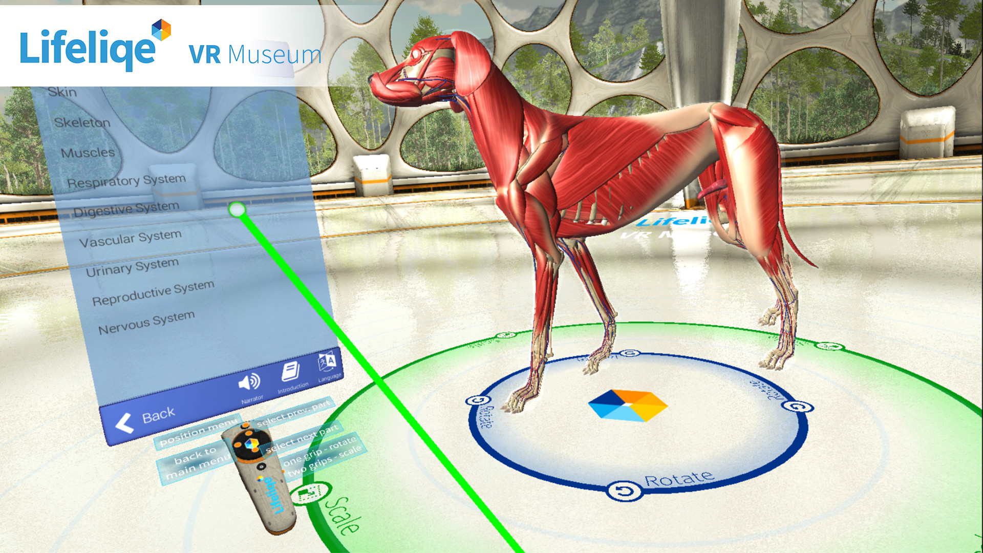 Lifeliqe VR博物馆专题-正版下载-价格折扣-Lifeliqe VR博物馆攻略评测-篝火营地