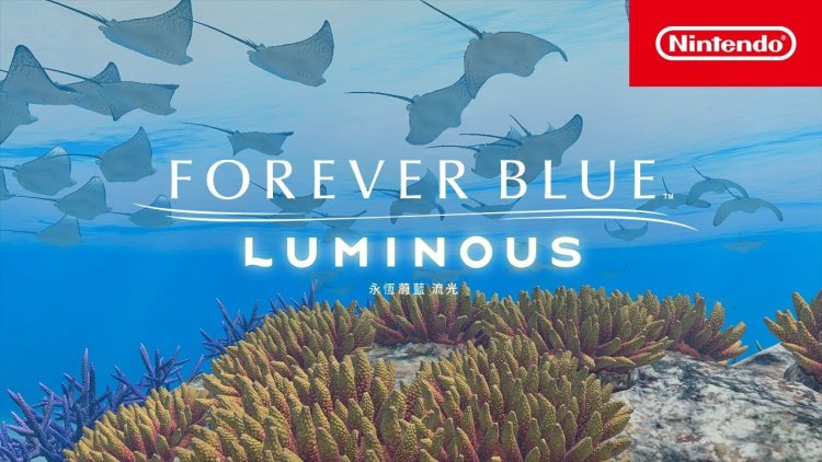 游戏视频-主机游戏视频-单机游戏视频-篝火营地